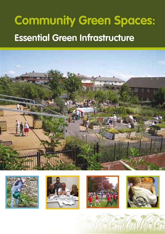 Welcome to the Green Heart Dens blog page.......: Community Green ...