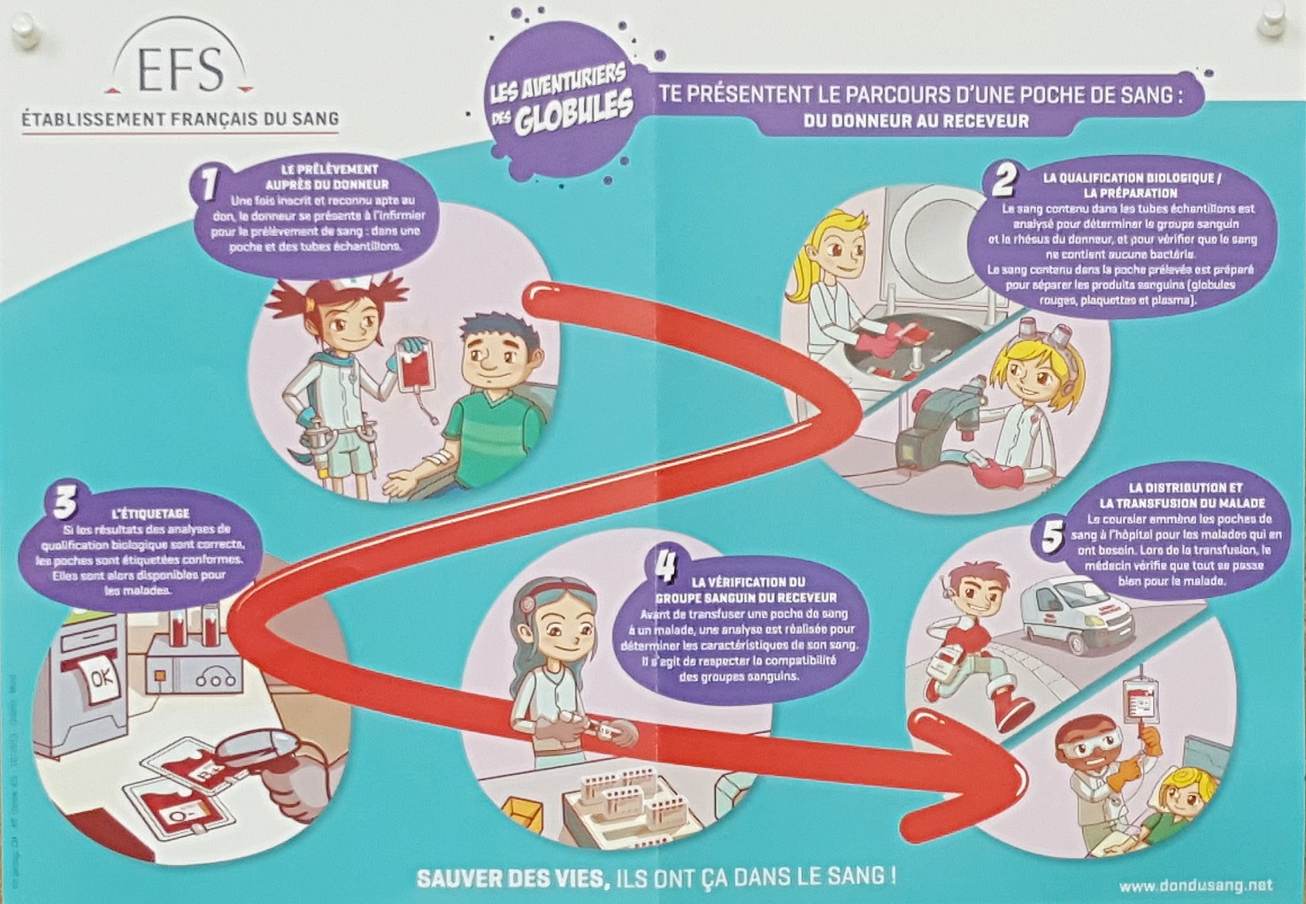 BIENVENUE AU COLLEGE JEAN MOULIN: Les 5 èmes et le don du sang