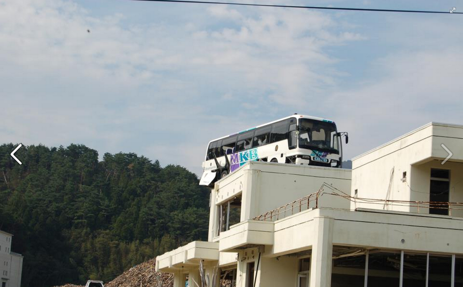 2Dogs Art Space - Akashi (明石）- Japan: 2019