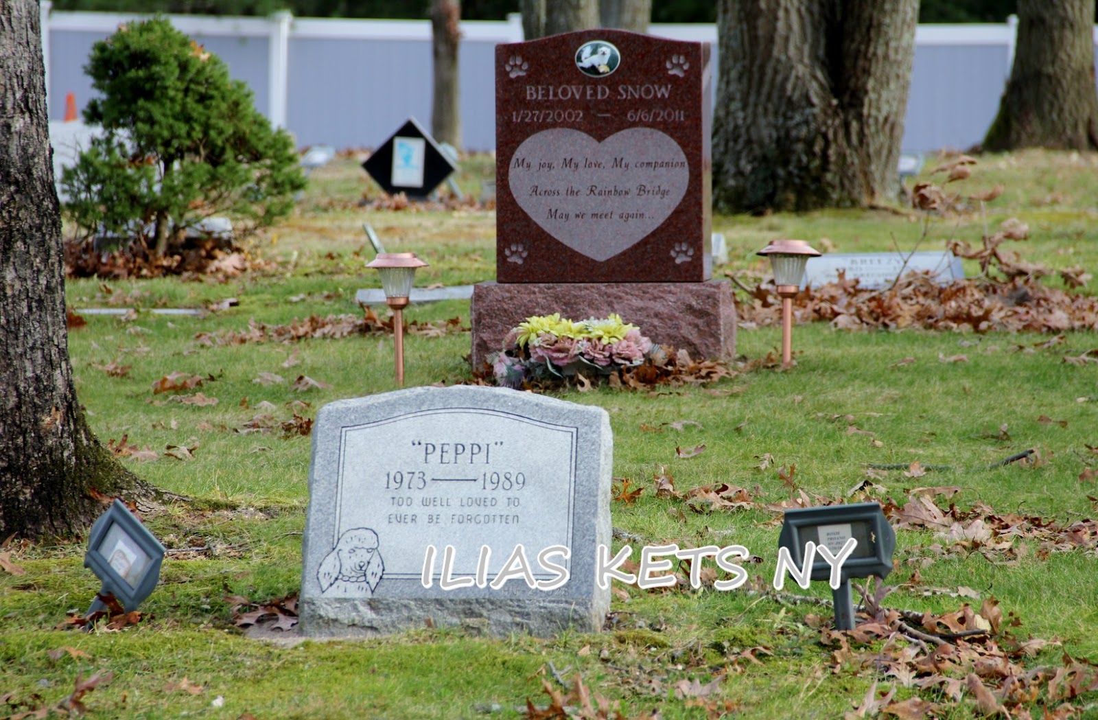 ILIAS KETS NY: *** Η ΤΕΛΕΥΤΑΙΑ ΚΑΤΟΙΚΙΑ ΤΟΥΣ