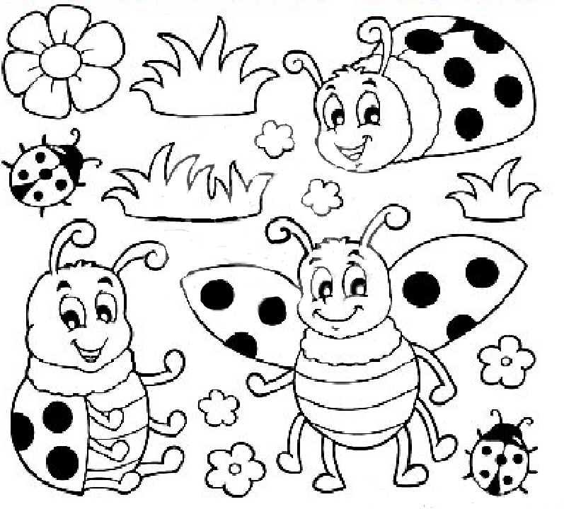 Planse de colorat si fise pentru copii: BUBURUZE - PLANSE de colorat cu ...