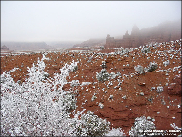 Utah Red Rocks