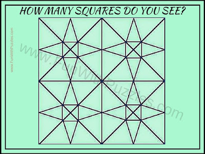 Count the Squares Puzzles