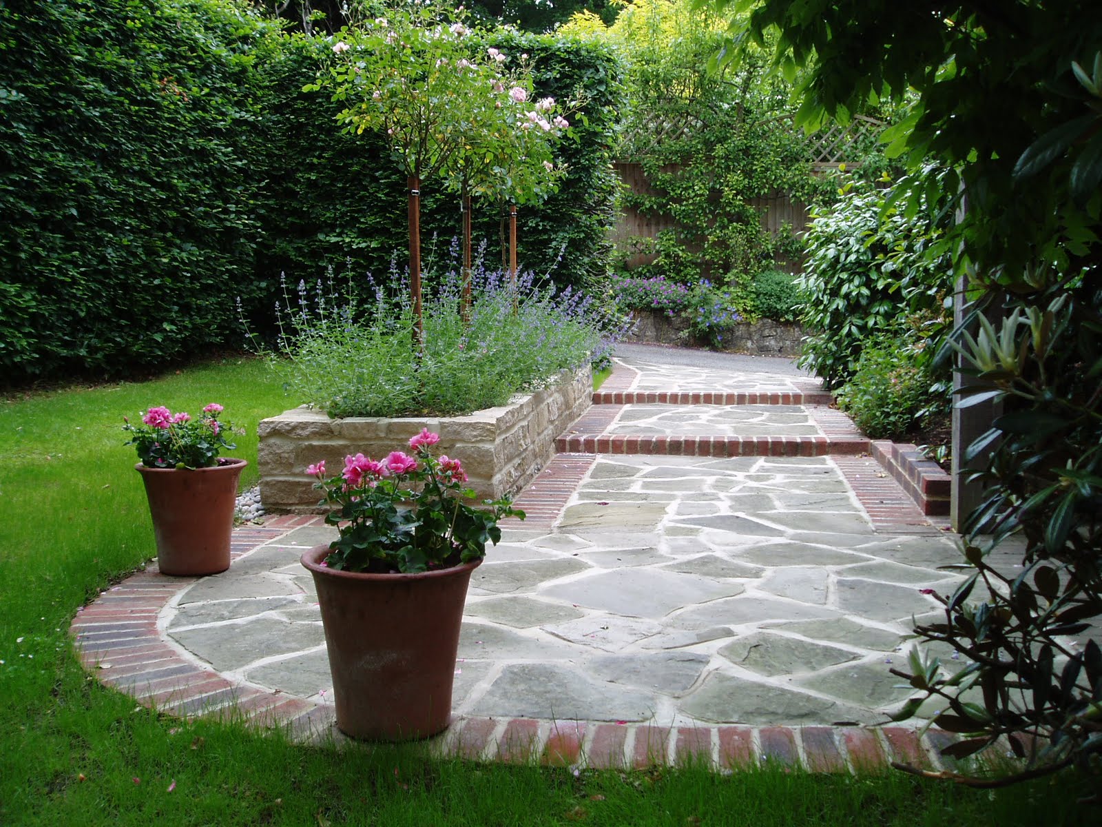 richardo ricci studio: gradina mea