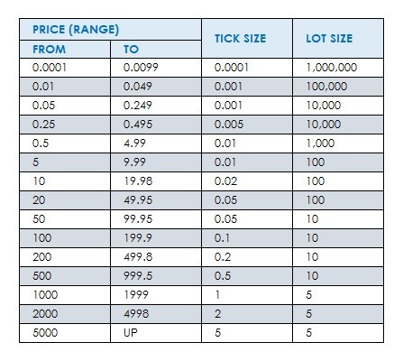 Piso and Beyond!: A Complete Idiot's Guide to the Stock Market