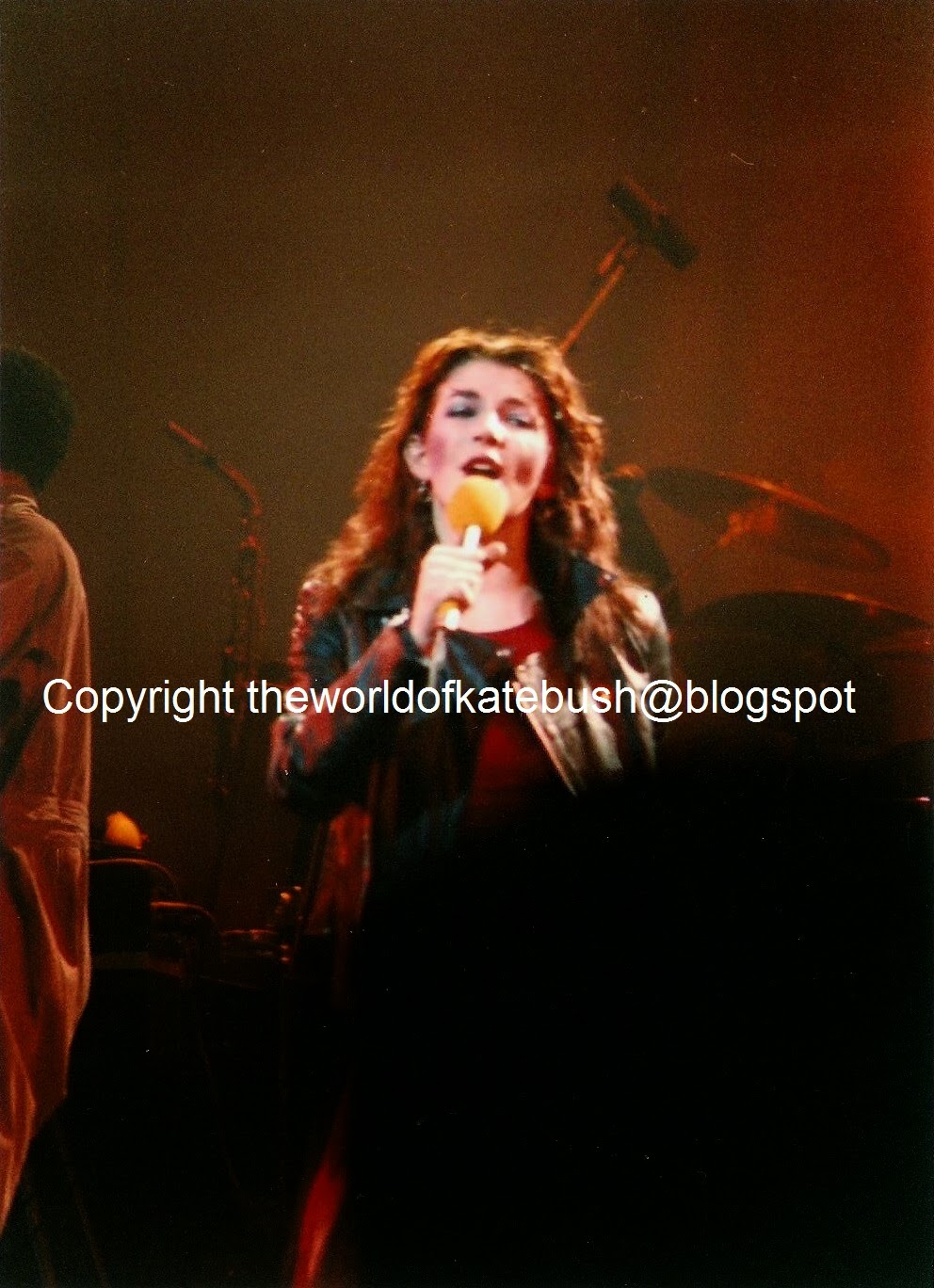 THE WORLD OF KATE BUSH: The Tour of Life