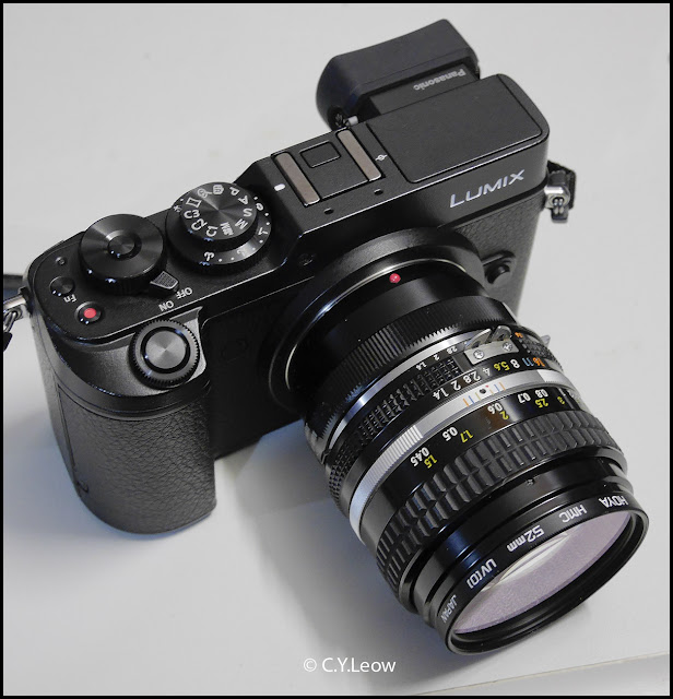 Man Behind Lens: Lumix DMC-GX8 - Last Words...