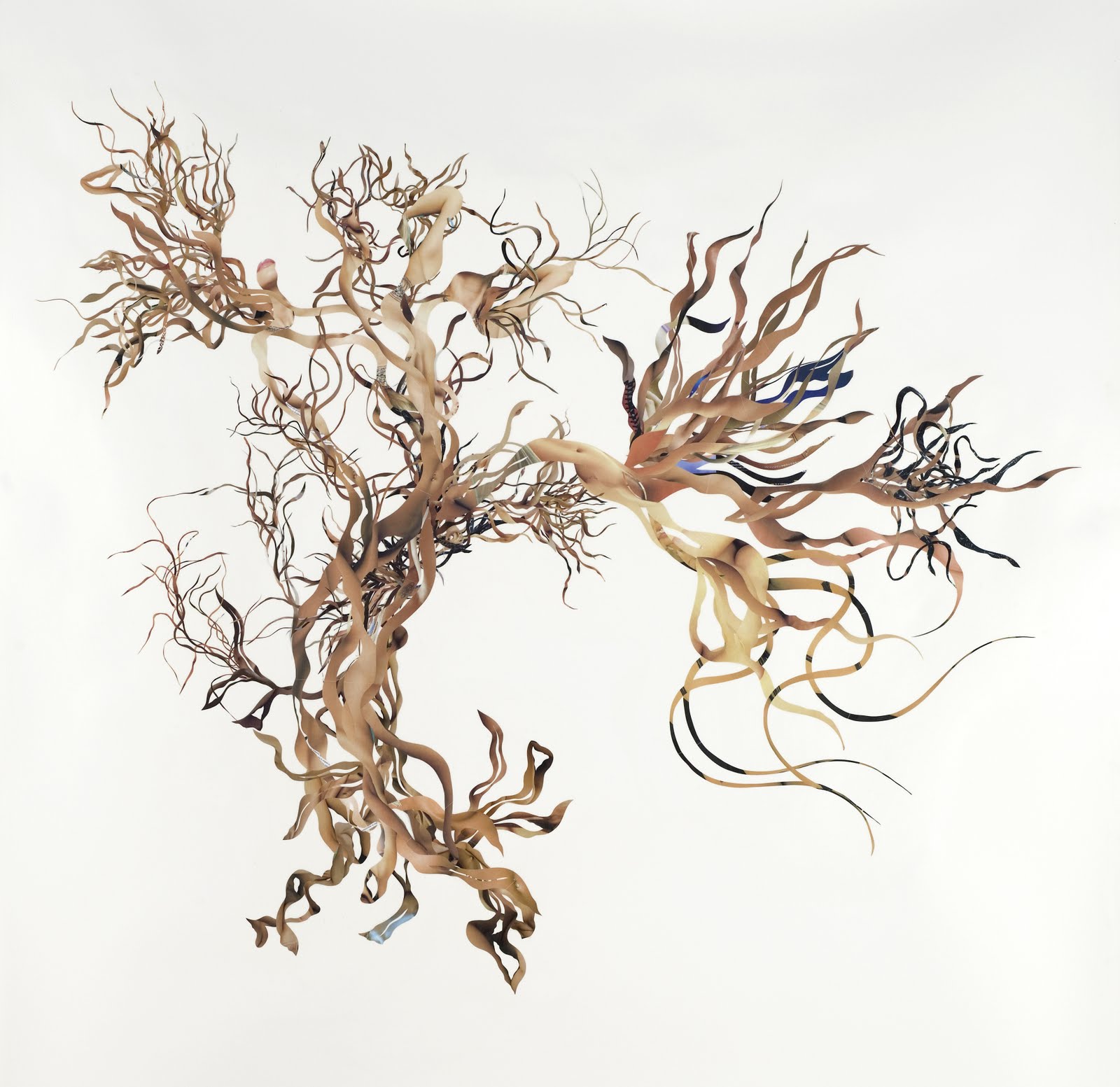 Jason Eden: Reconstruction