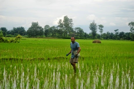 Agriculture in Nepal: Climate Smart Agriculture: Point to be noted