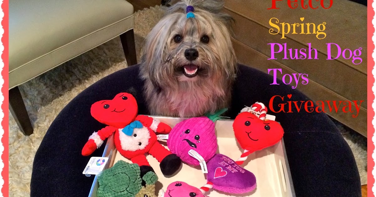 To Dog With Love: Petco Spring Dog Toys Haul and Giveaway