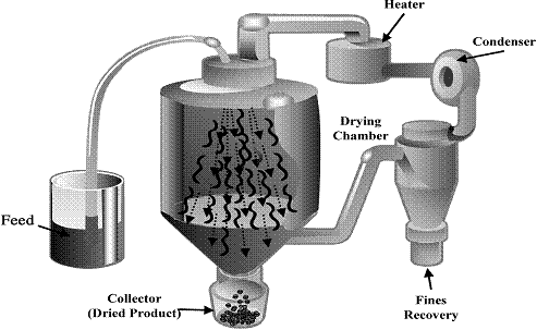 Food and Nutrient Technology: Alat -alat Pengeringan