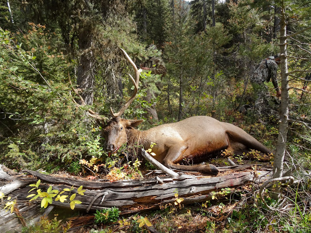 RMSGear Blog: The Ghost of ***** - 2016 Elk Hunt