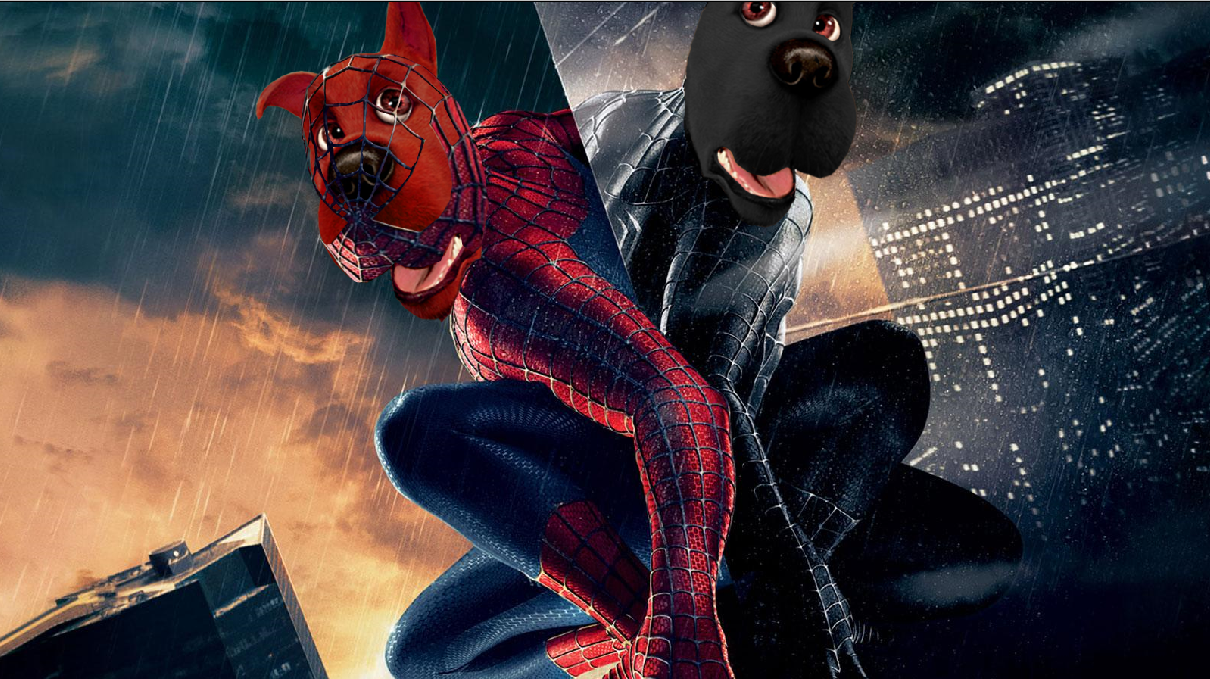 Hanna A Computer Graphics 3R: Spider doo WIP coming along