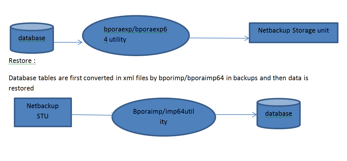 Countenance: Netbackup Oracle internal process