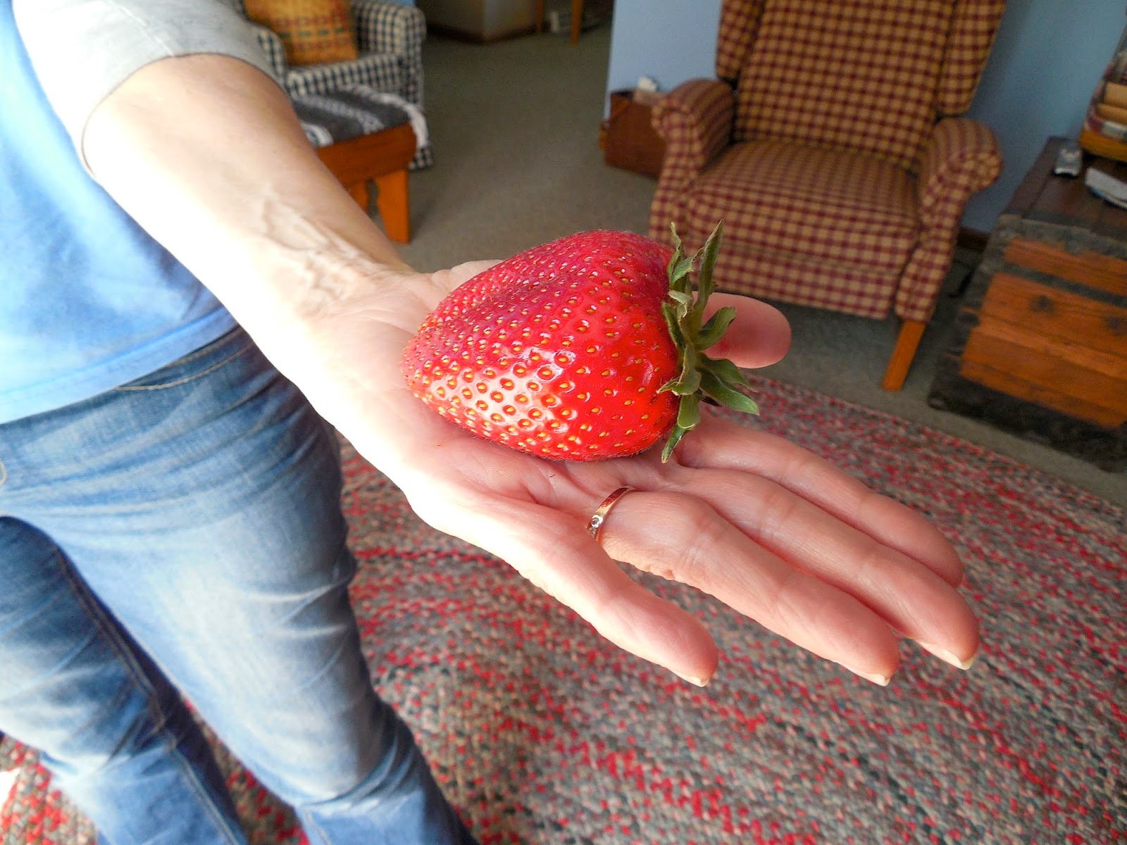 Life is Good : ): The Biggest Strawberry