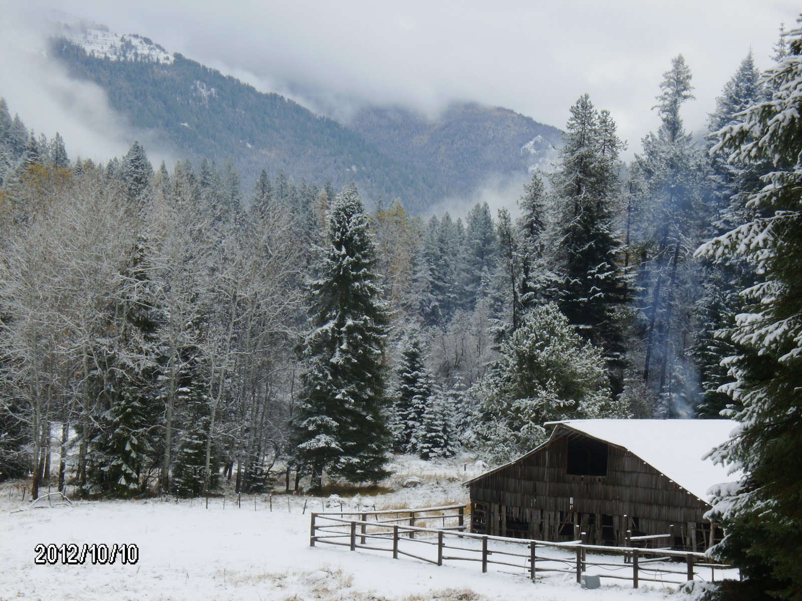 The Minam River Lodge