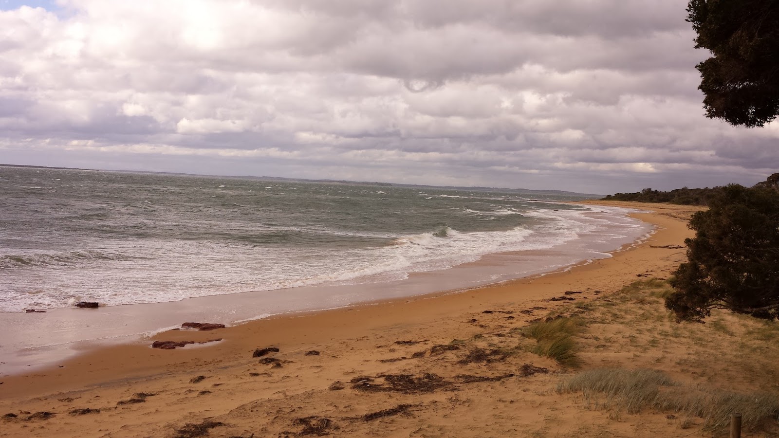 Day Out with Dog (Victoria Australia): Red Rocks Beach@Philip Island ...