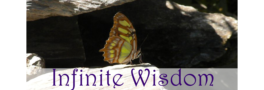 Infinite Wisdom: FEEDING THE SOUL – GIVES ENERGY TO ALL AREAS OF YOUR LIFE