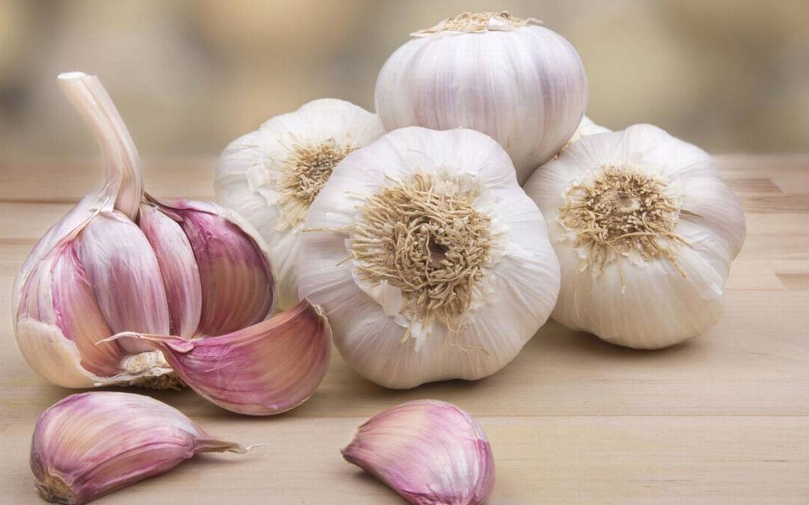 PLAAN : Ajo - Allium sativum
