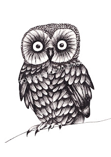 mobijo: Owl ink drawing