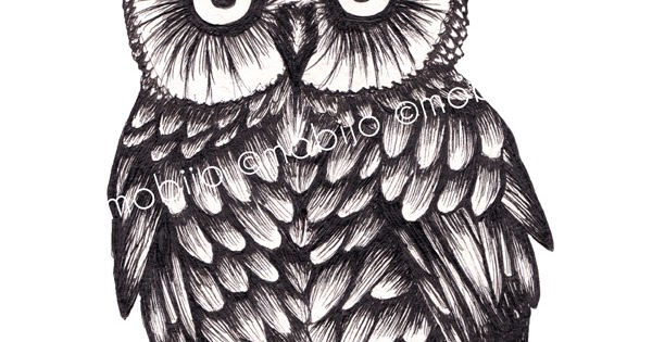 mobijo: Owl ink drawing