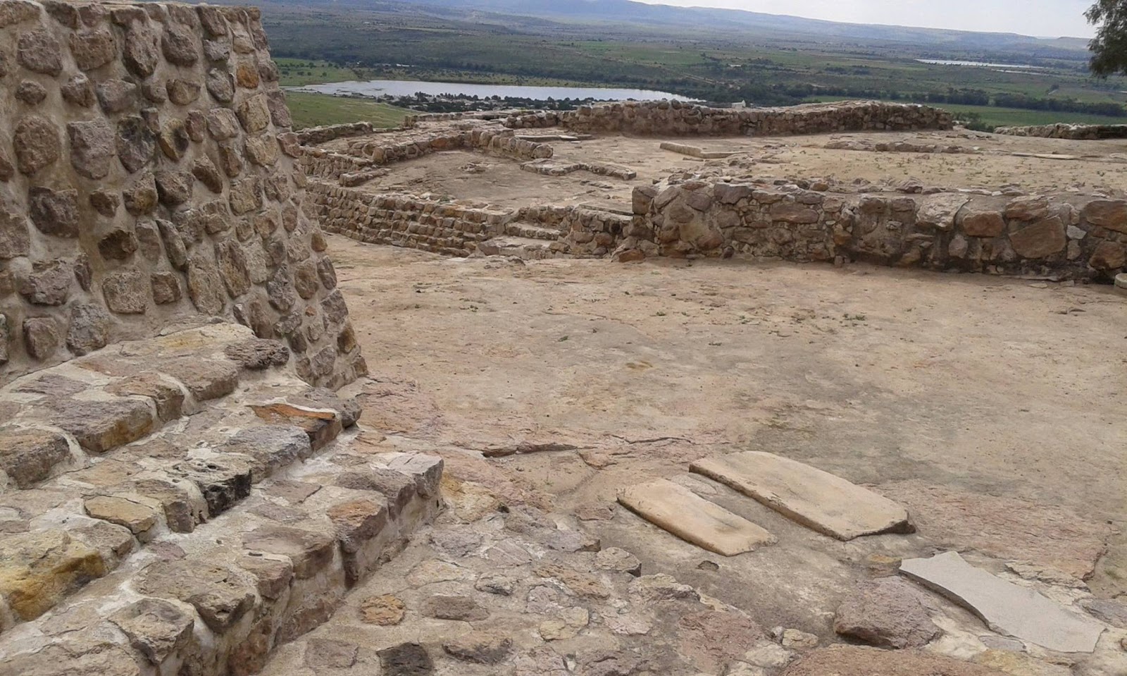 El Jardin de la Republica: El Cóporo