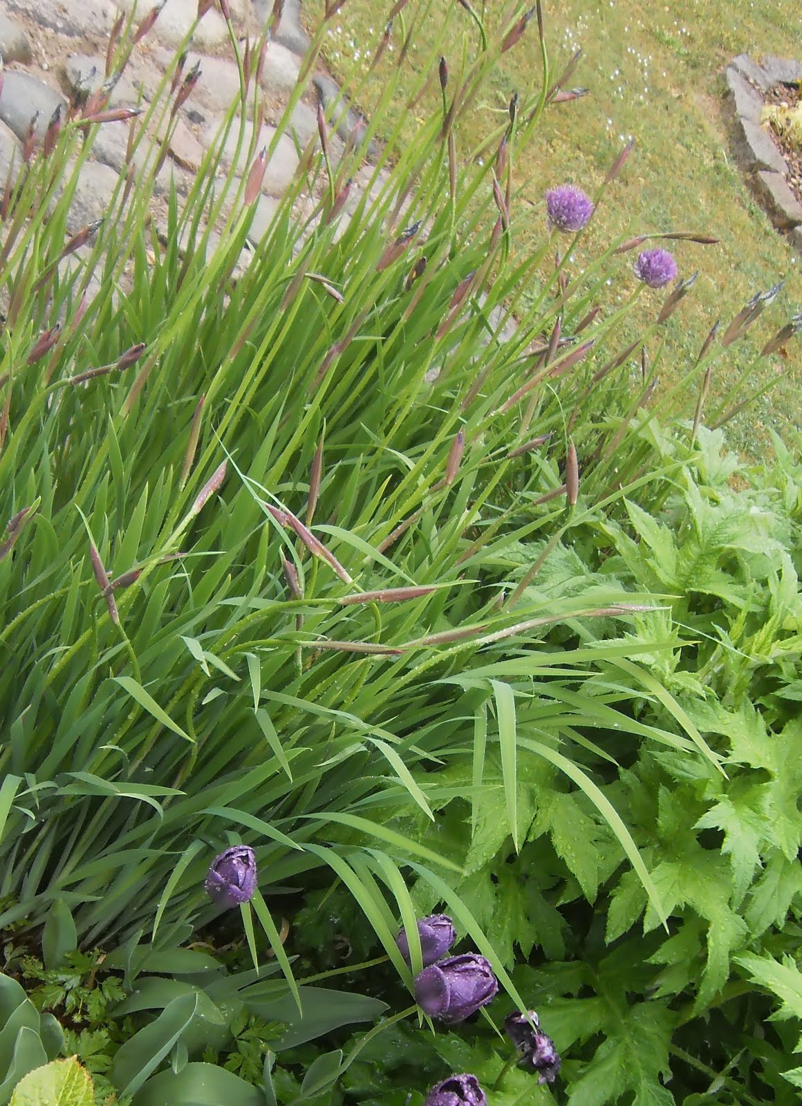 Patchwork-blomsten: Endnu en pause :o(