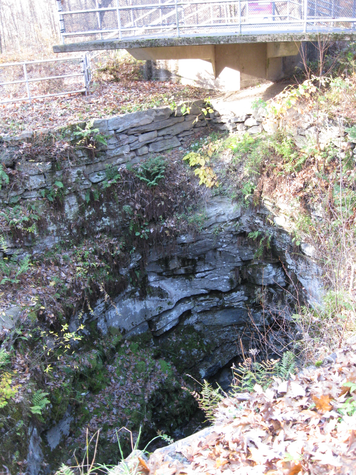 Archbald Pothole State Park