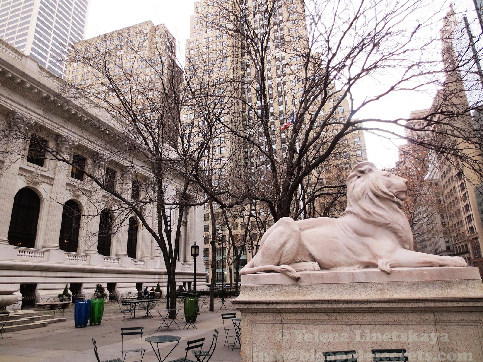Big Apple Secrets: The Library Lions