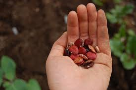 Fairy Tale Fandom: A Fairy Tale in Time and Space.