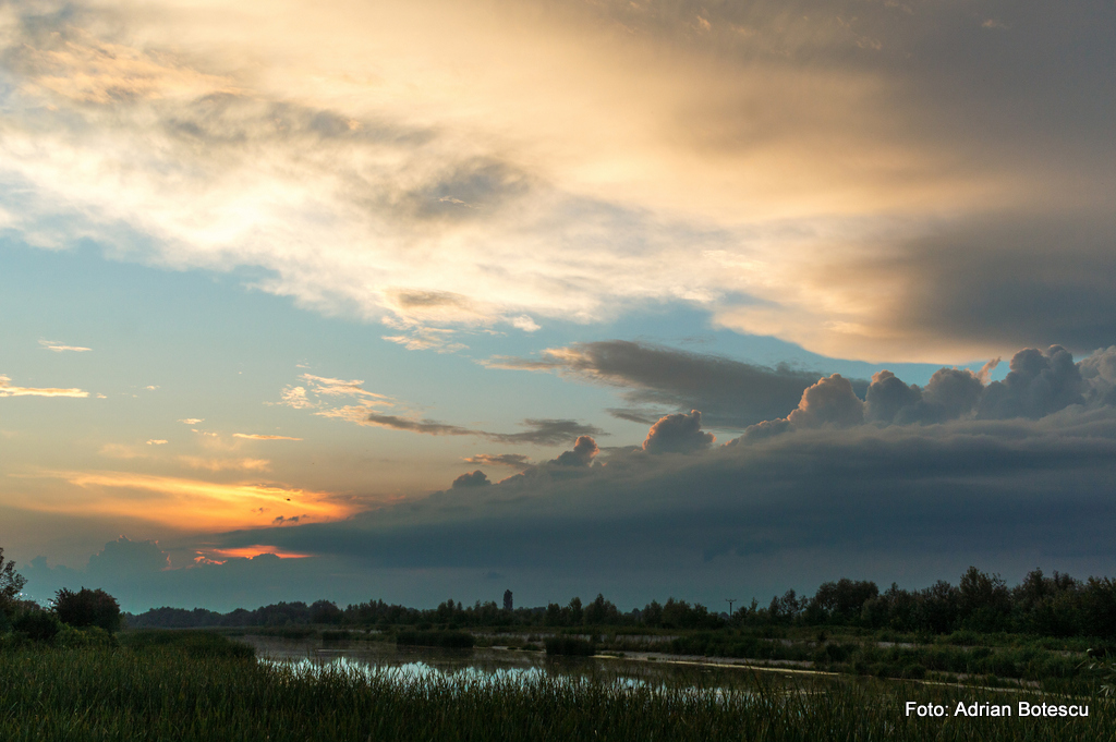 Poveştile mele: Locuri de vizitat in Bucuresti – Lacul Morii si ...