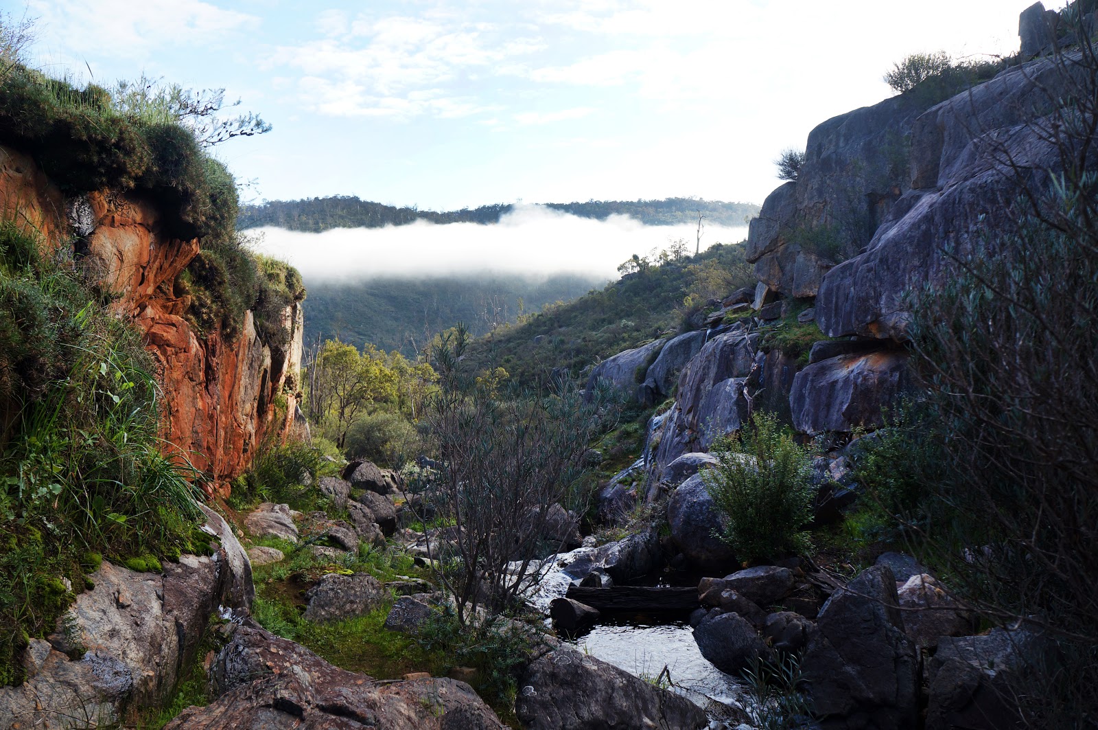 Numbat Track (Paruna Wildlife Sanctuary) ~ The Long Way's Better