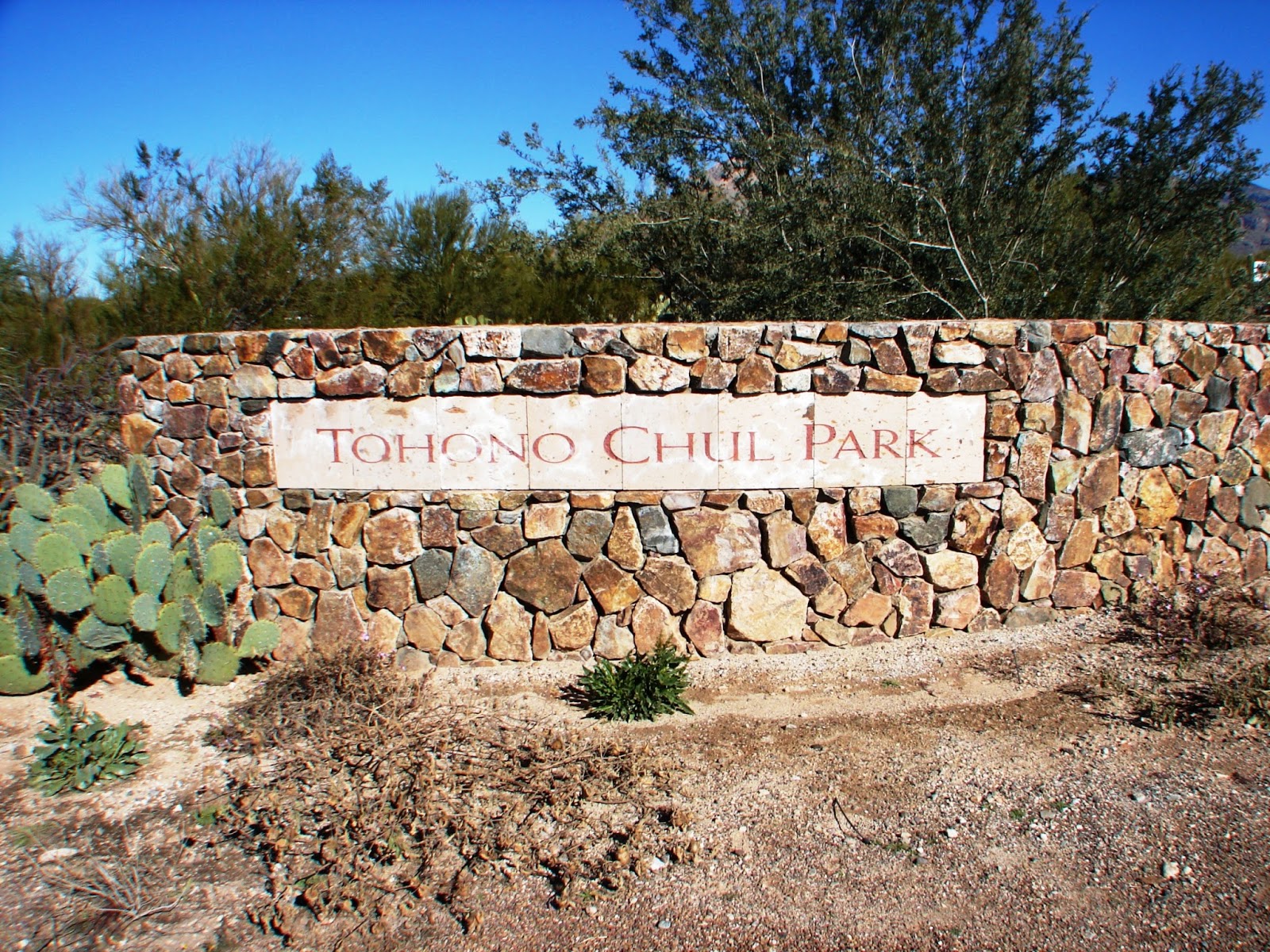 Finding Arizona: Tohono Chul Park - Tucson