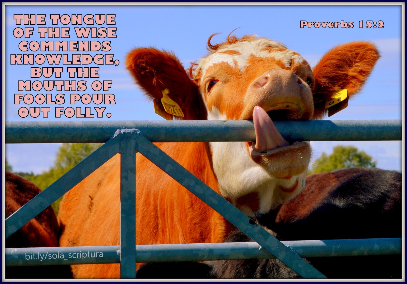 Sola Scriptura: Proverbs 15:2