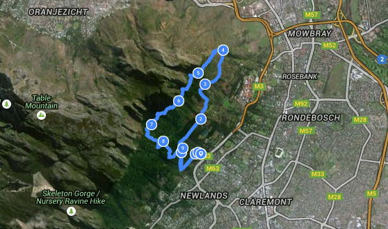 Newlands Forest Trail Run
