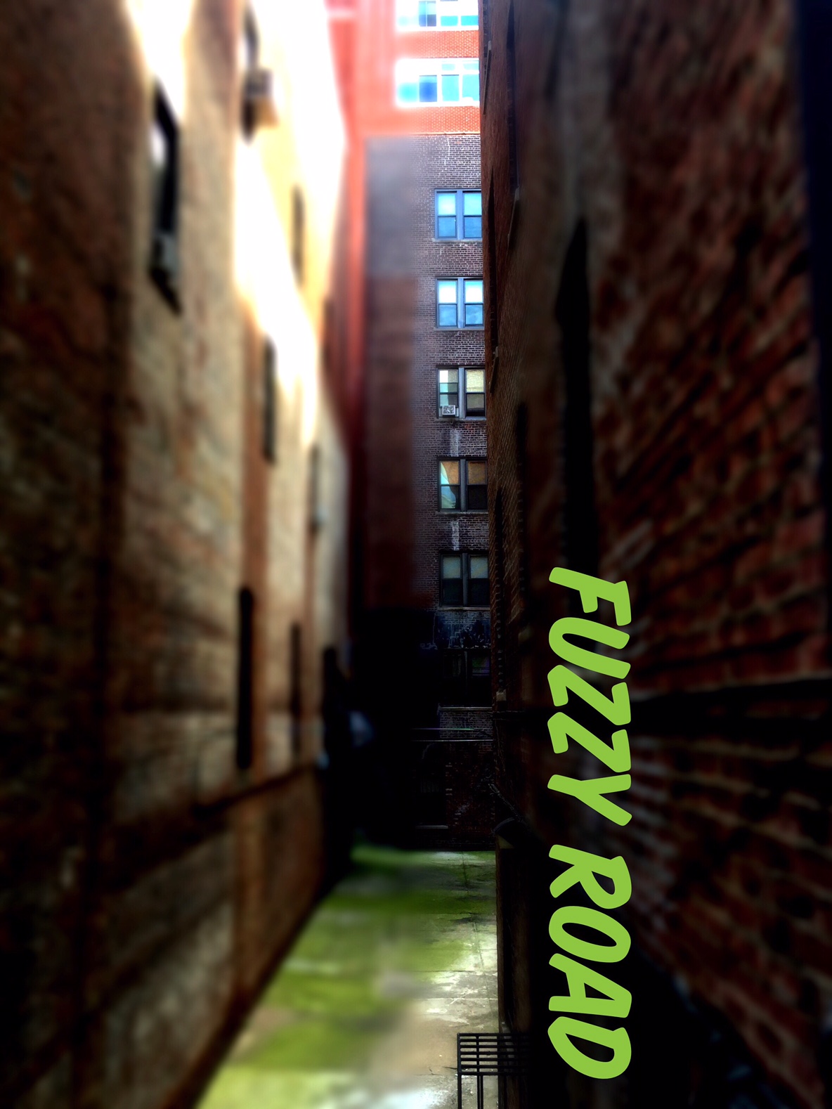 BAGeL Radio : indie rock noise pop internet radio: Fuzzy Road #170 ...