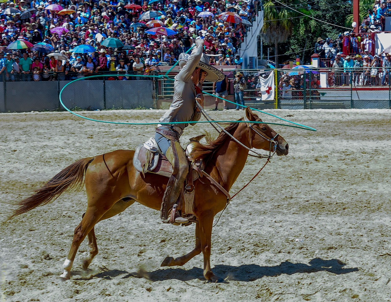 En el Colimador: ¿Rodeo cubano, espectáculo o deporte?