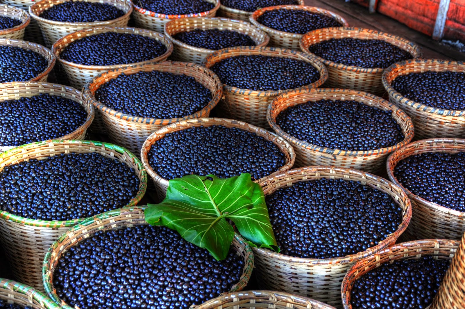 PLANTAS MÁGICAS: LAS BAYAS DE ACAI Y 12 MOTIVOS PARA CONSUMIRLAS
