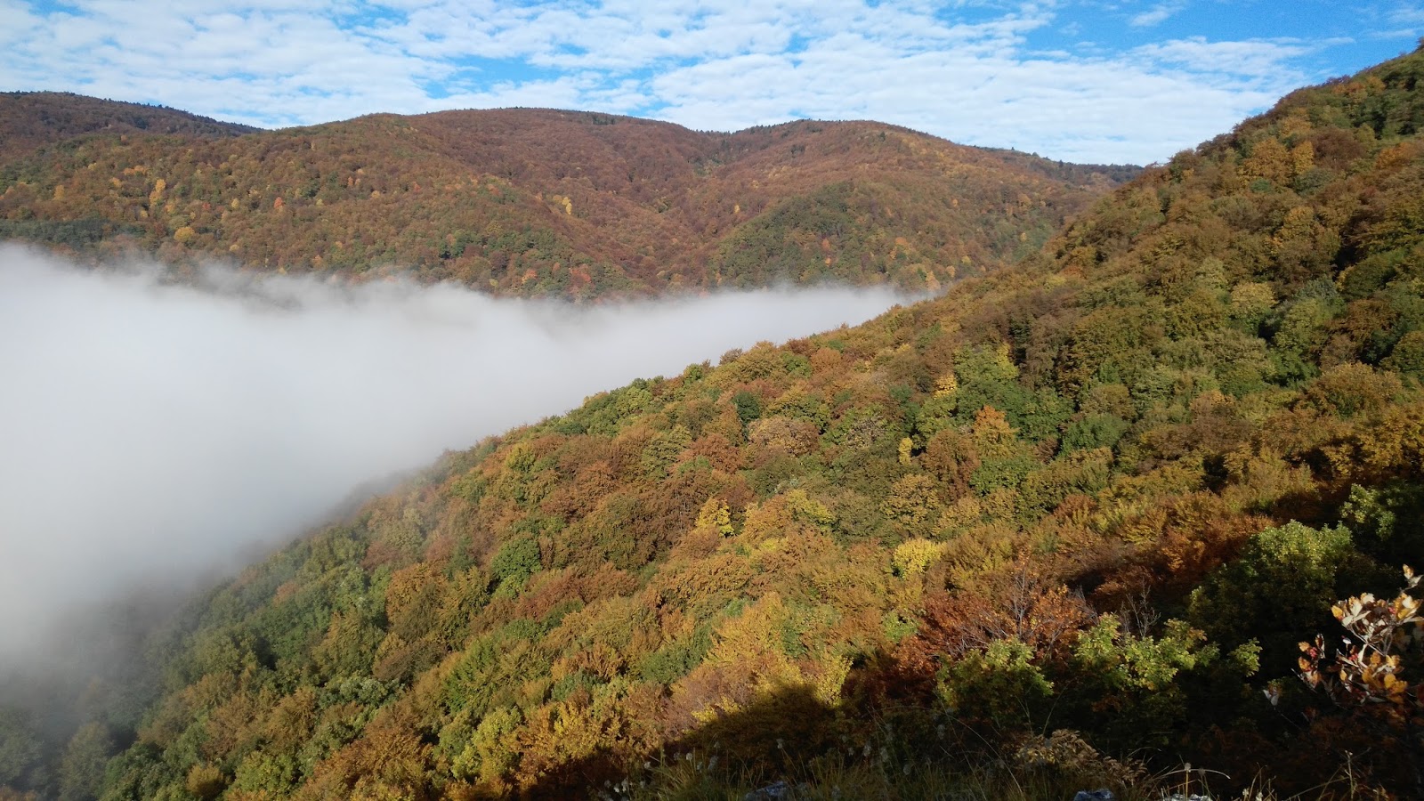 gdje kod nas fotkati ovakve boje šuma u jesen? Gorski kotar? : r/croatia