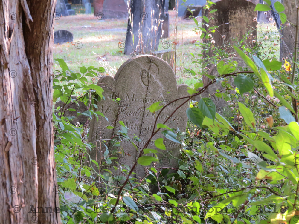 Anne's Creative Cornucopia: Coley Cemetery Gravestones - Photograph