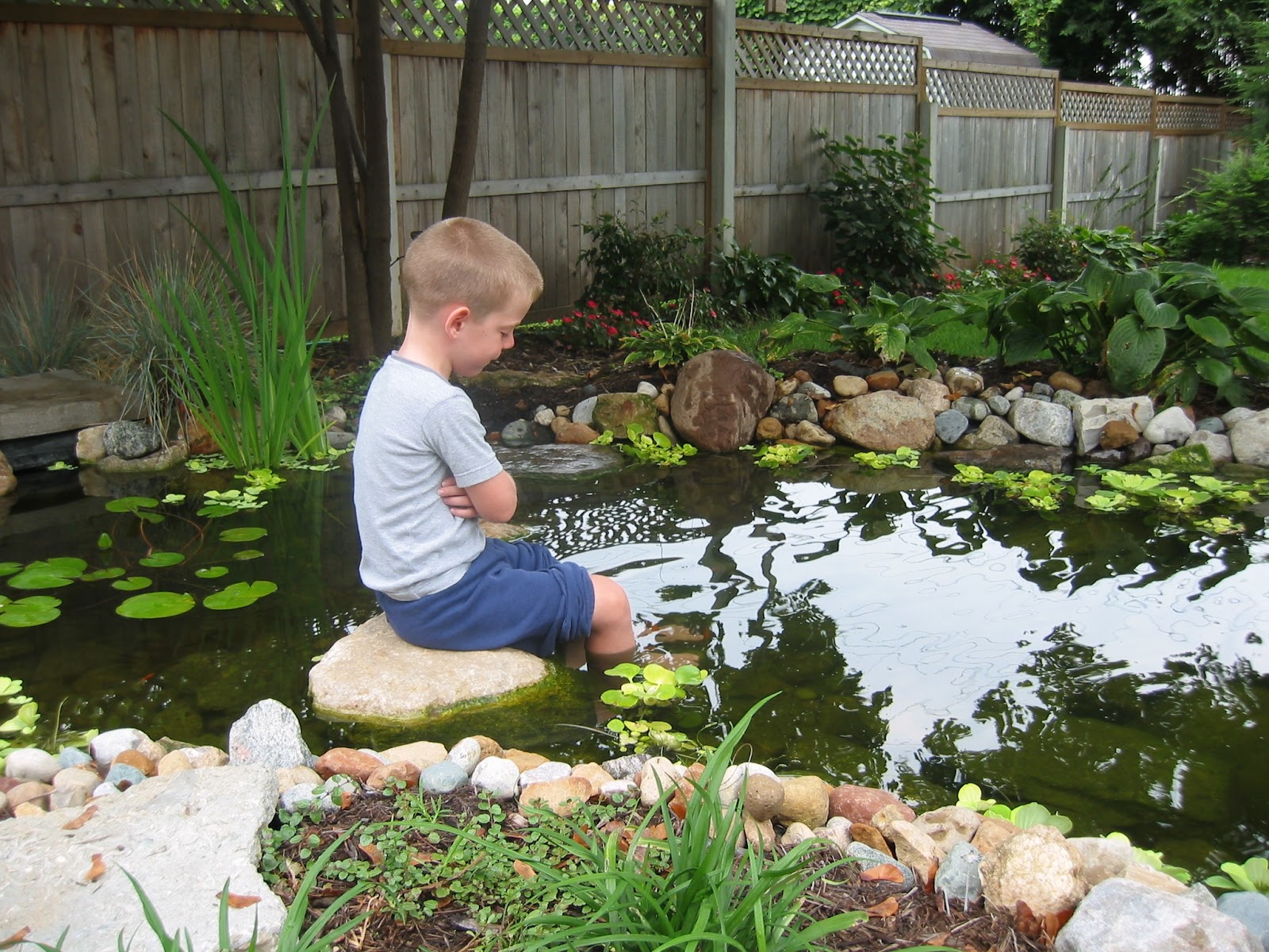 So Many Reasons to Have a New Pond...