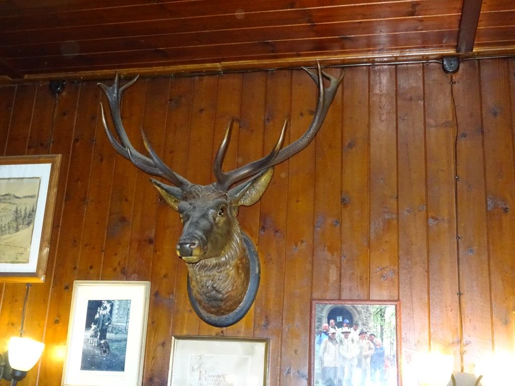 Little Lolly's Small Adventures: Naturist Walk - Final Day & Goodbye