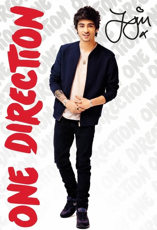 One Direction Blog: Neue 1D Poster