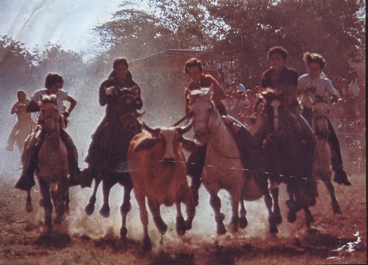 Paz para Venezuela: Toros coleados y "El brother"