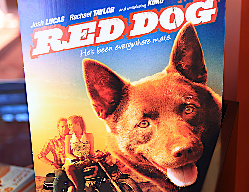 THE LONG LAP AROUND...: Red Dog...