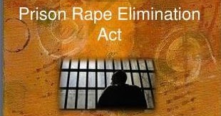 Virginia Prisons Accountability Committee: The PREA Directive Antinomy