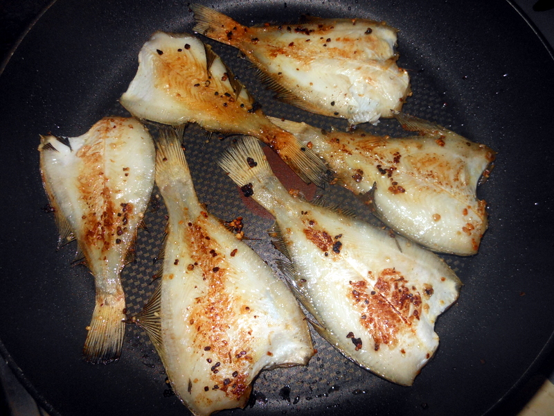 Hokkaido Kudasai: Fresh Fish