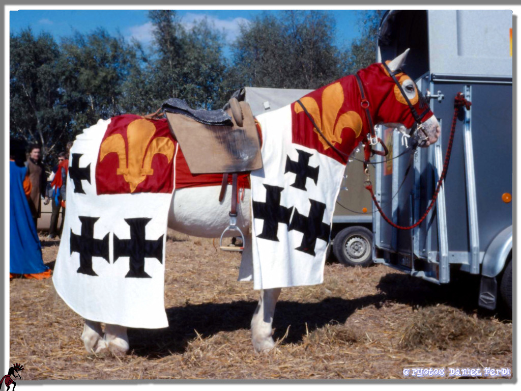 Chez Madeleine: Destrier