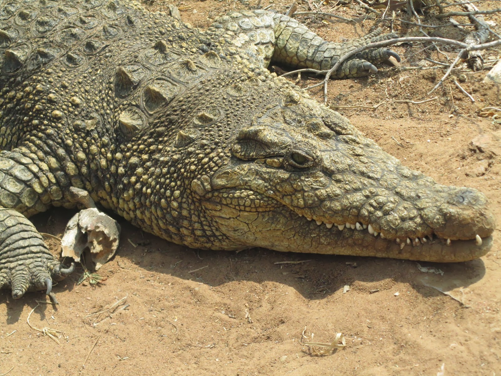 Clowards In Africa: The Sun Sets on our First Week in Africa