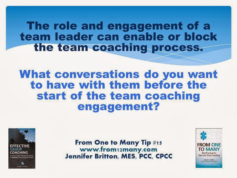 Group Coaching: Ins and Outs: Team and Group Coaching Tips - Coaching Many